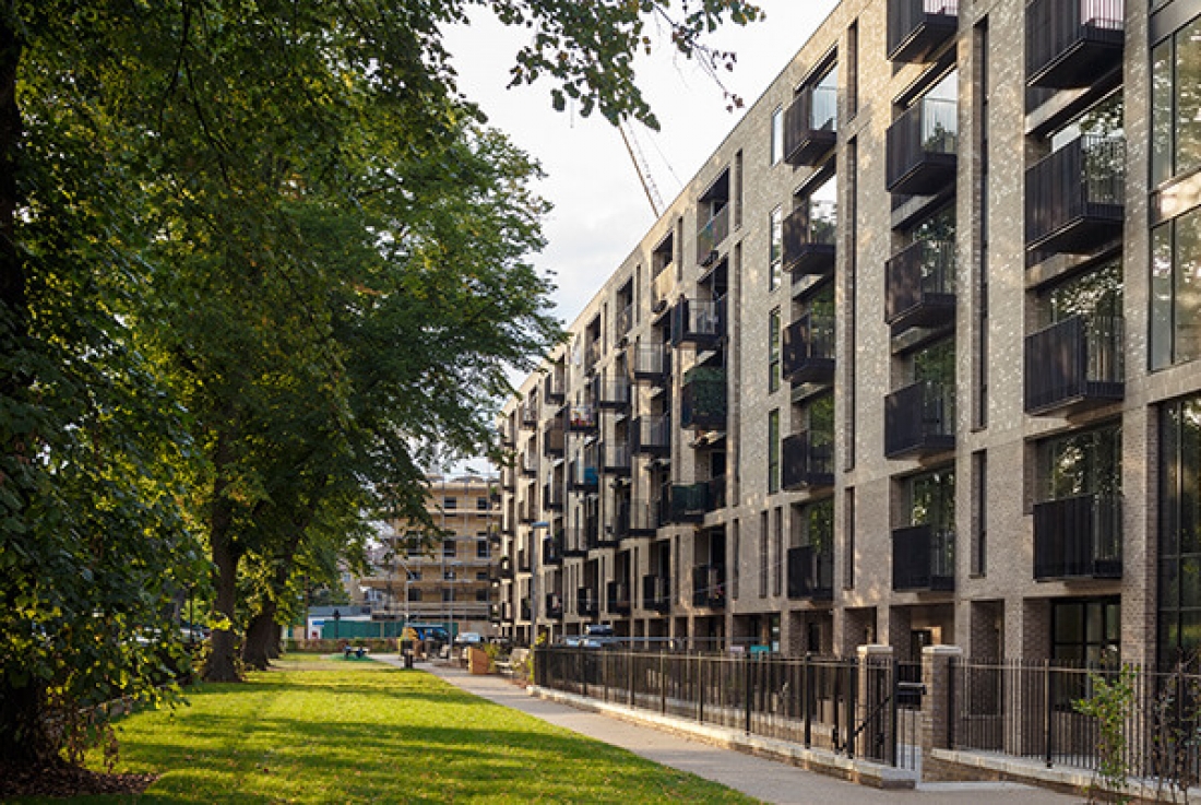 Levitt Bernstein Landscape Architecture - The Architect